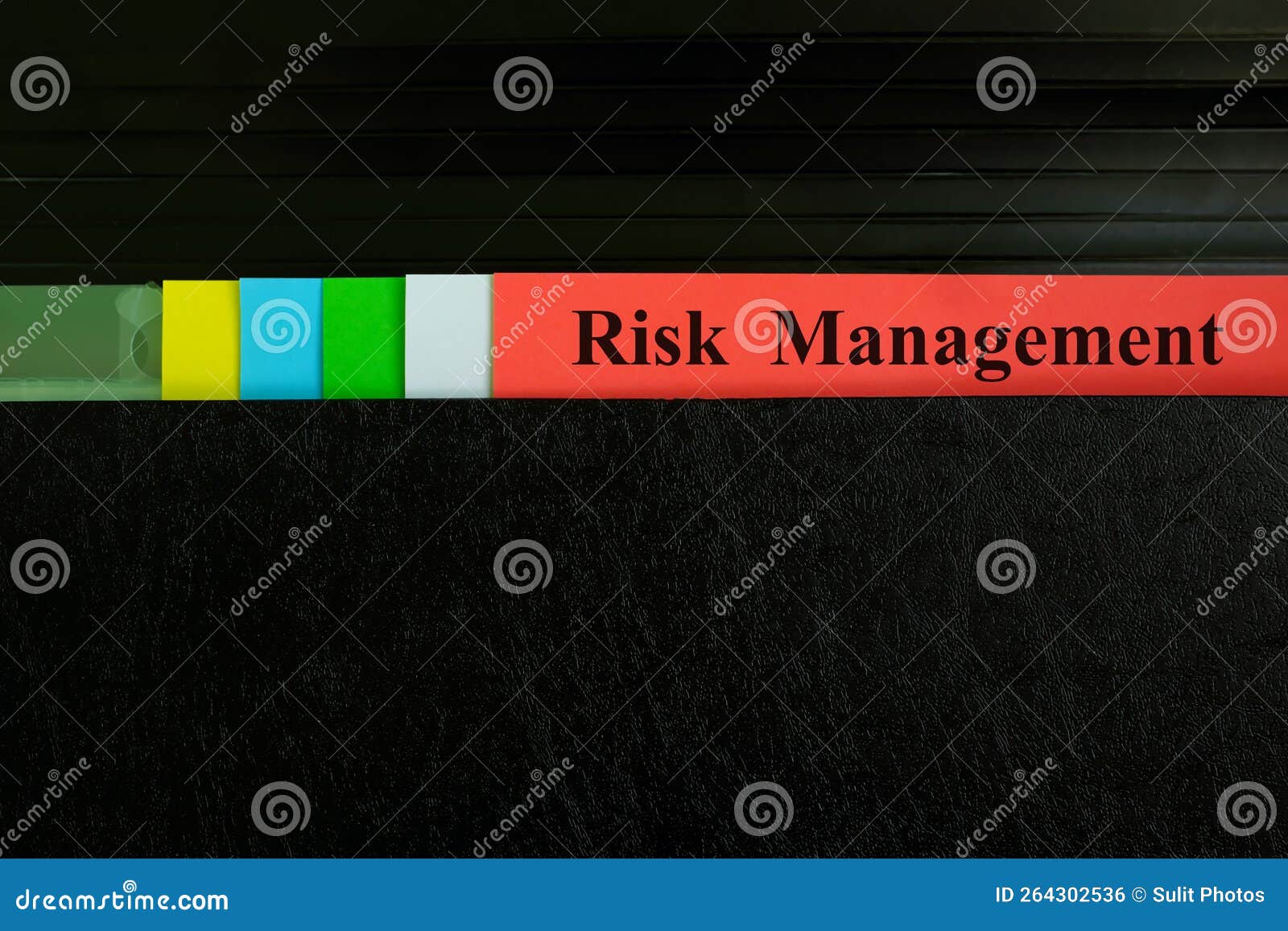 Risk Management File Record in Black Binder Folder. Risk Management ...