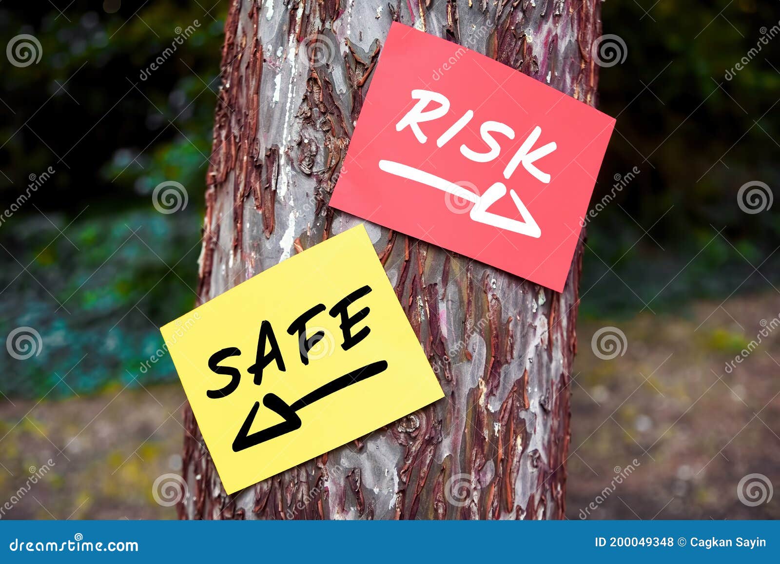 Risk Versus Safe Words Written On Papers On A Tree With Arrow Signs ...