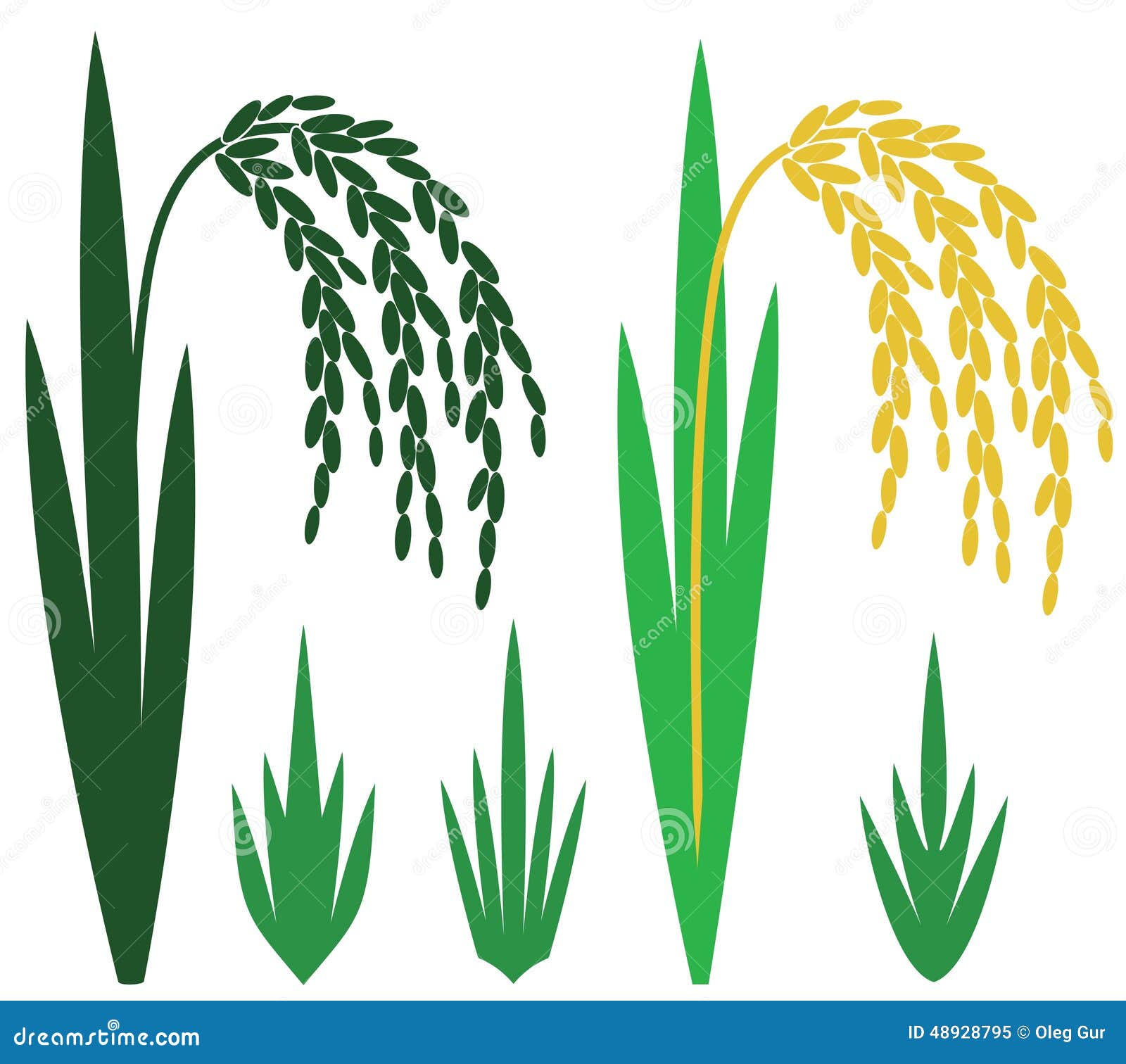 Riso illustrazione vettoriale. Illustrazione di gambo - 48928795