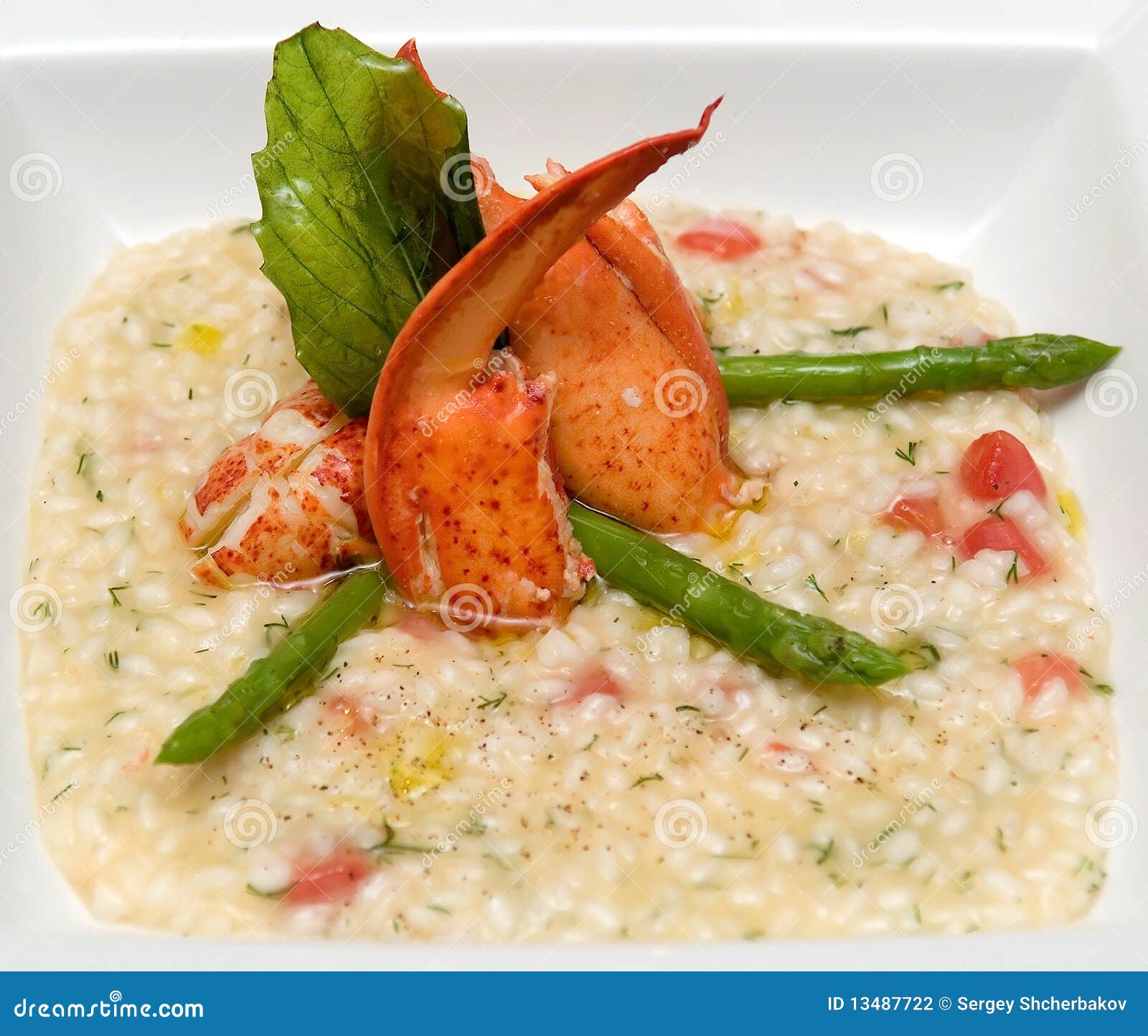 Risotto stock photo. Image of plate, rice, decoration - 13487722