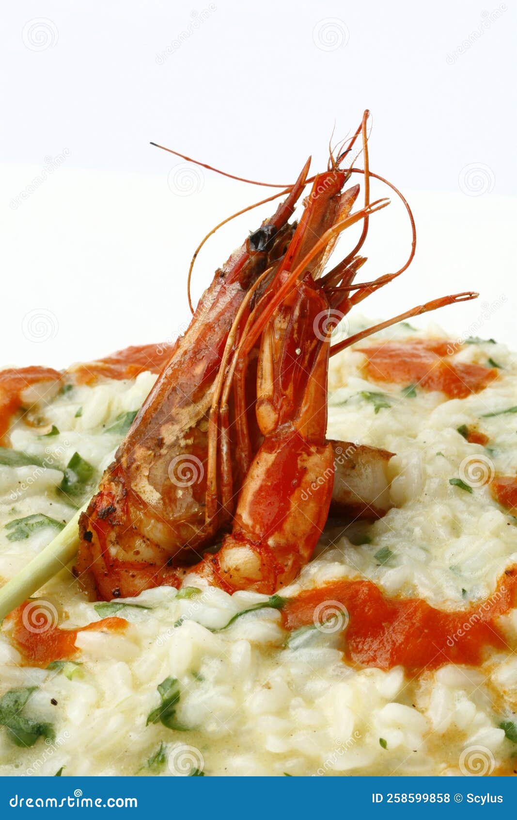 Risotto Di Gamberi Verse Garnalen in Risotto Stock Foto - Image of ... Risotto Di Gamberi Verse Garnalen in Risotto Stock Foto - Image of ...