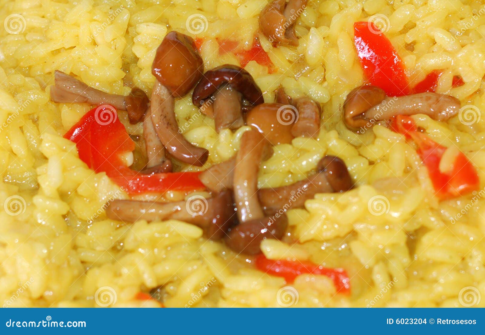 Zaffron Stock Photos - Free & Royalty-Free Stock Photos from Dreamstime