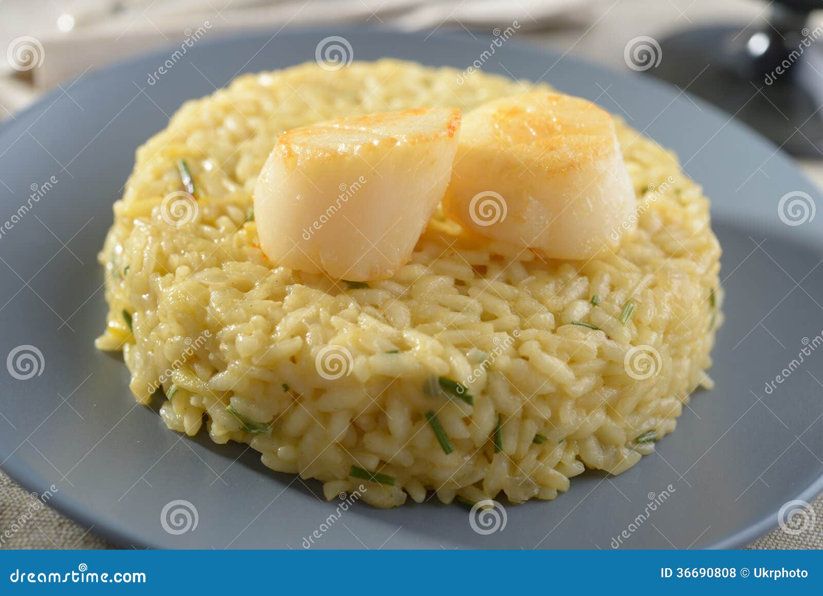 Risotto with scallops stock photo. Image of seafood, risotto - 36690808