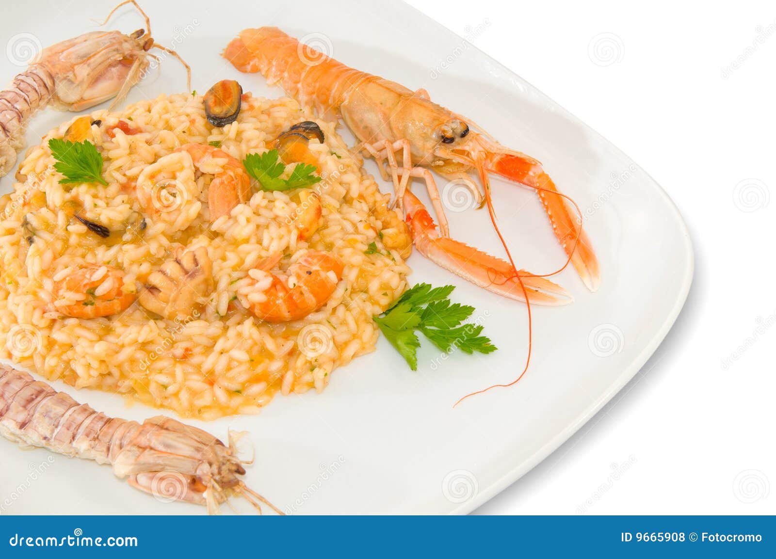 Risotto with seafood stock photo. Image of beans, lamb - 9665908