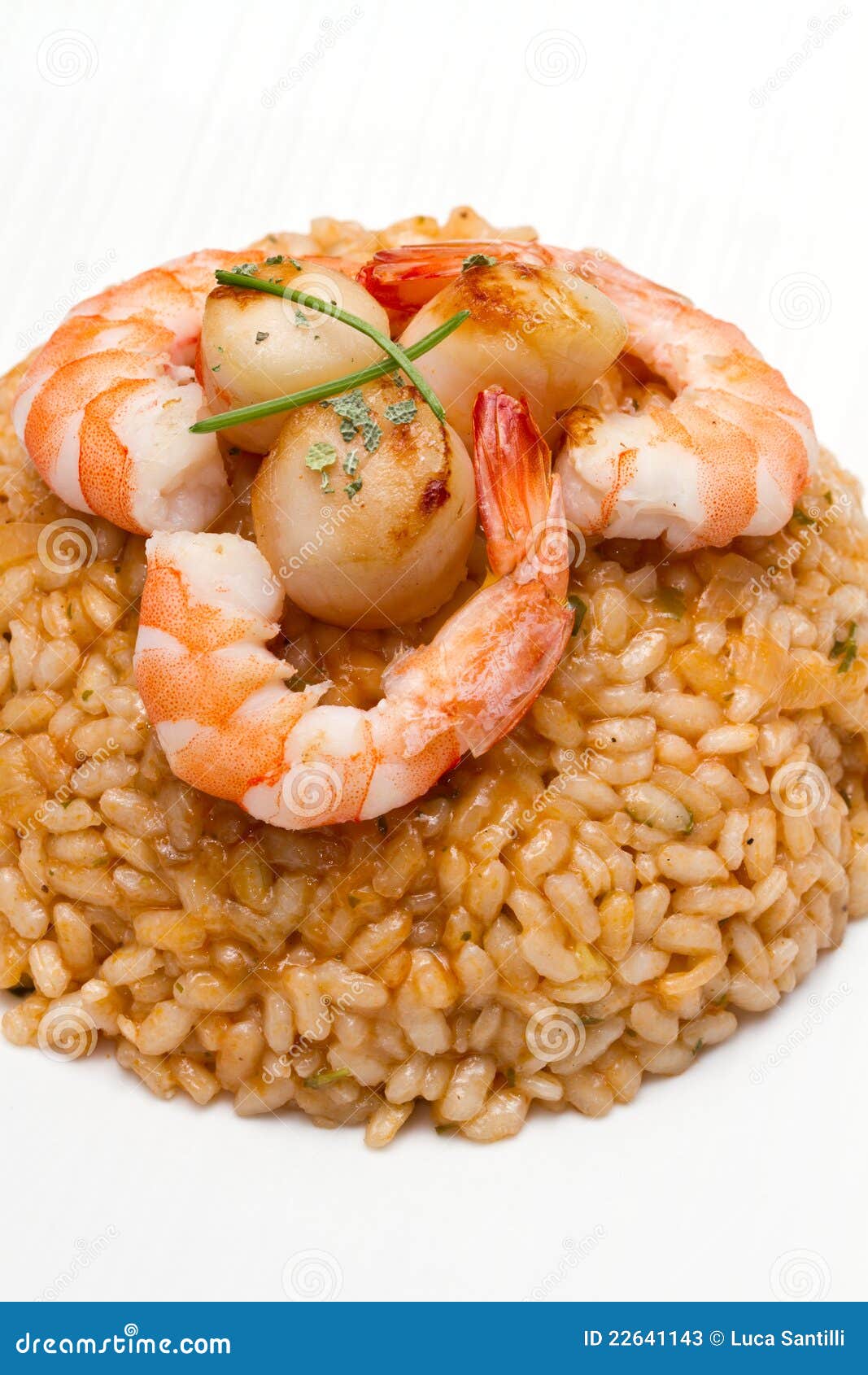 Risotto with seafood sauce stock image. Image of food - 22641143