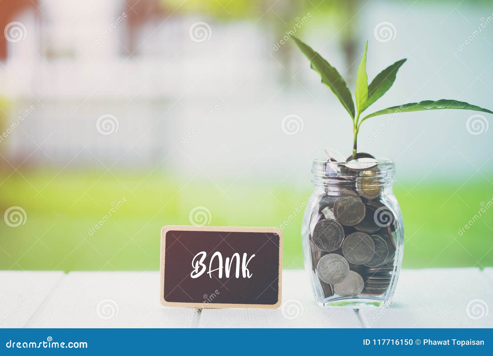 Risparmio Dei Soldi E Concetto Finanziario Di Investimento Pianta Che ... Risparmio Dei Soldi E Concetto Finanziario Di Investimento Pianta Che ...
