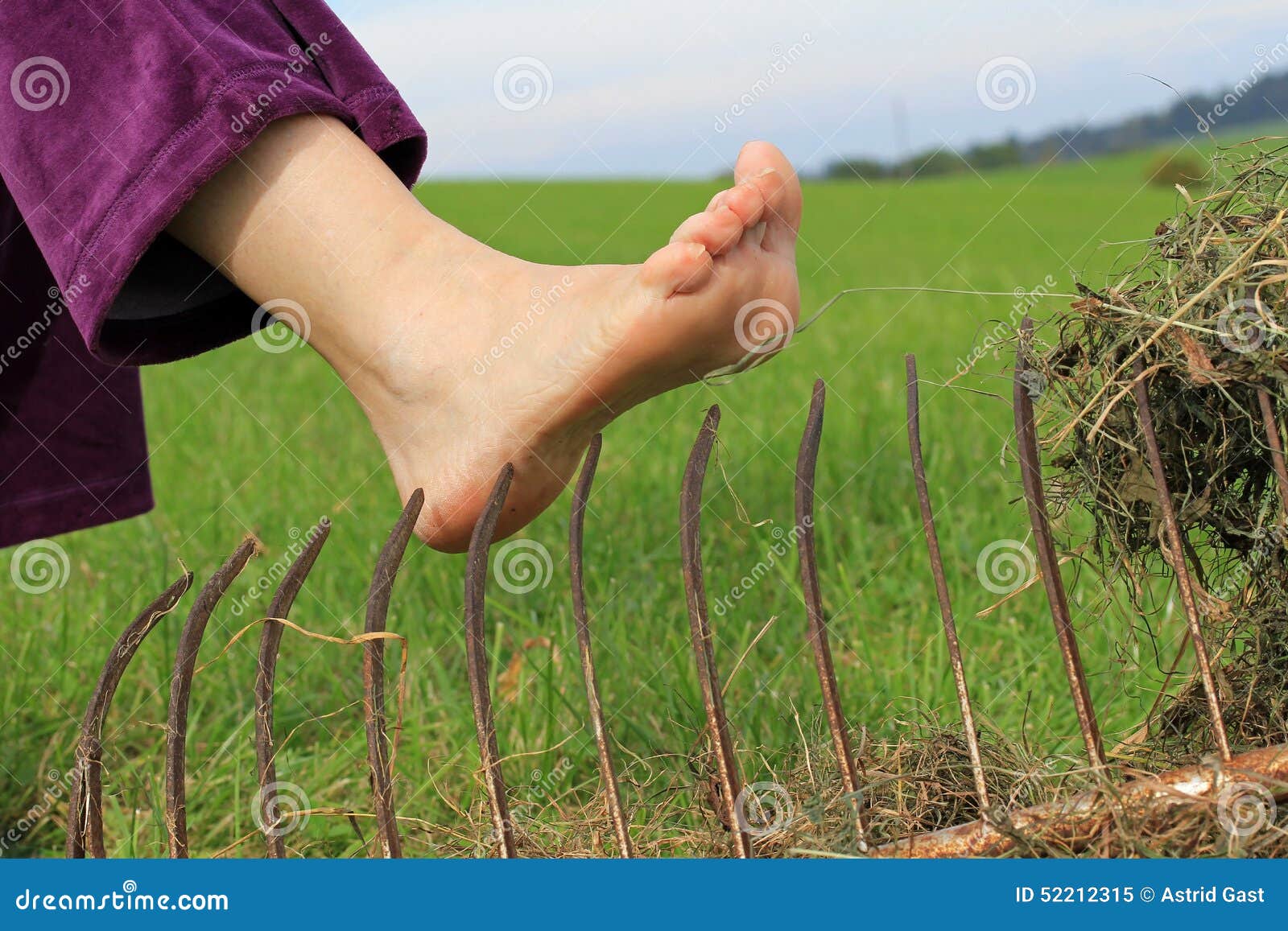 Risque De Blessure Pendant Le Travail Agricole Image stock - Image du ...