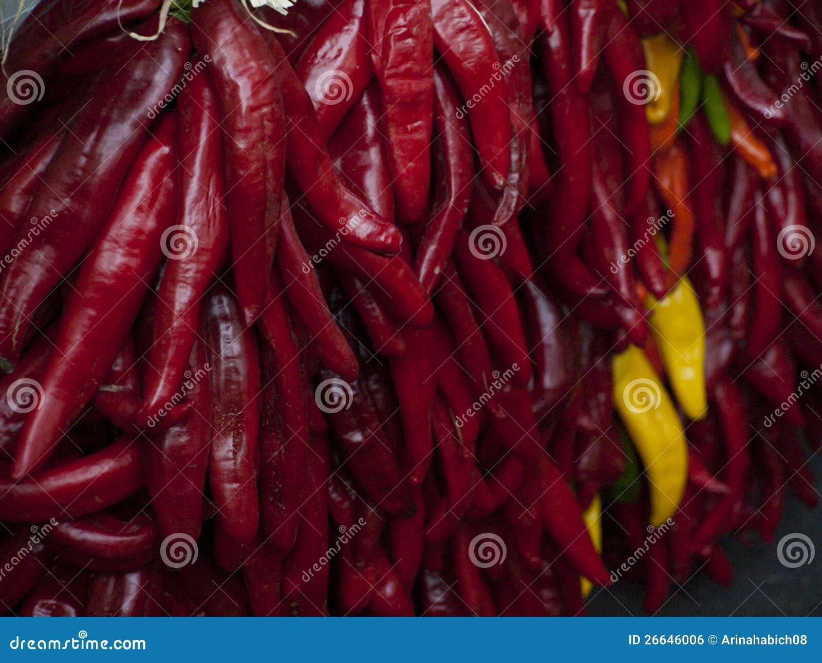 Ristra stock photo. Image of culture, nutrition, ristra - 26646006