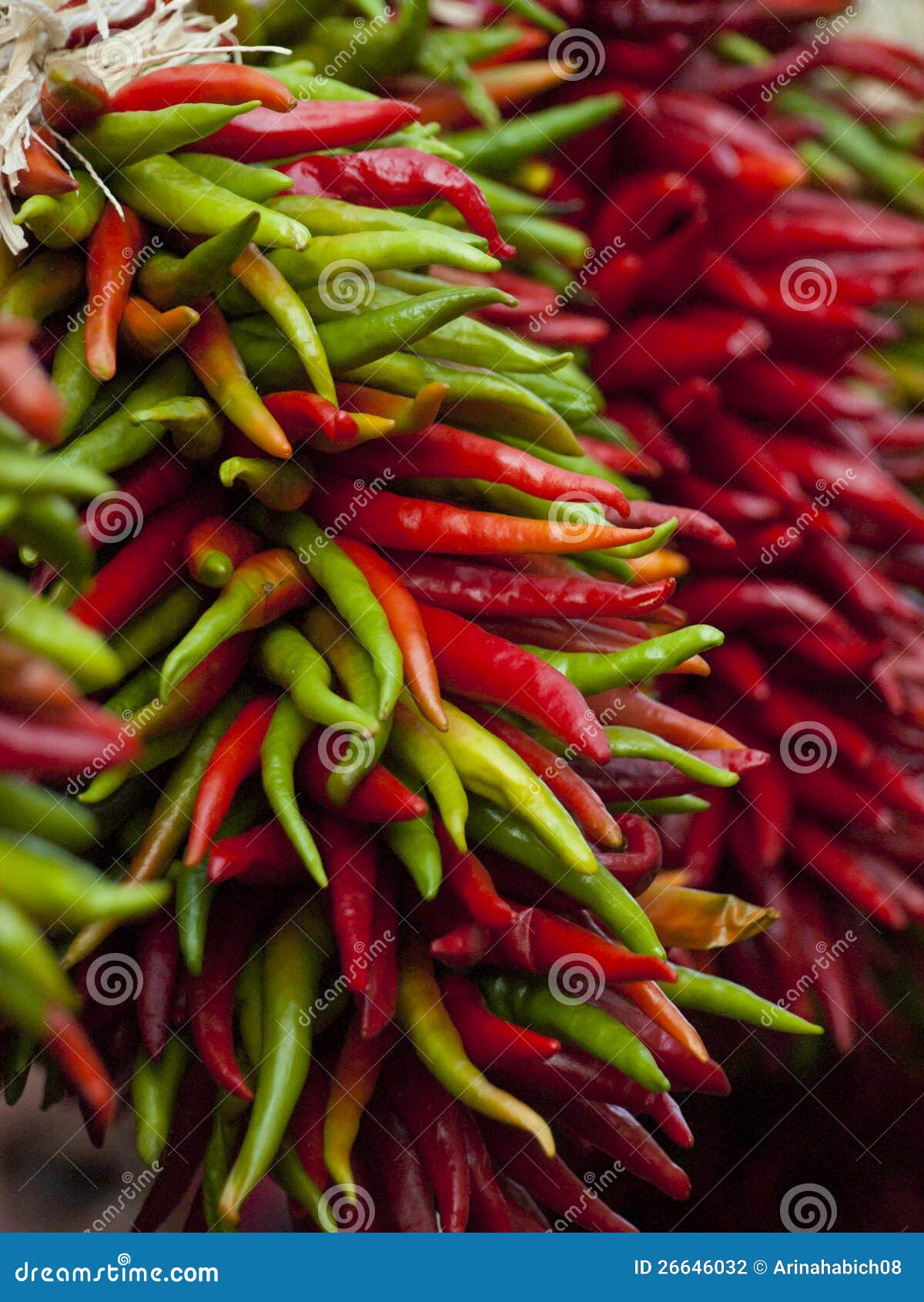 Ristra foto de archivo. Imagen de verduras, cubo, rancho - 26646032