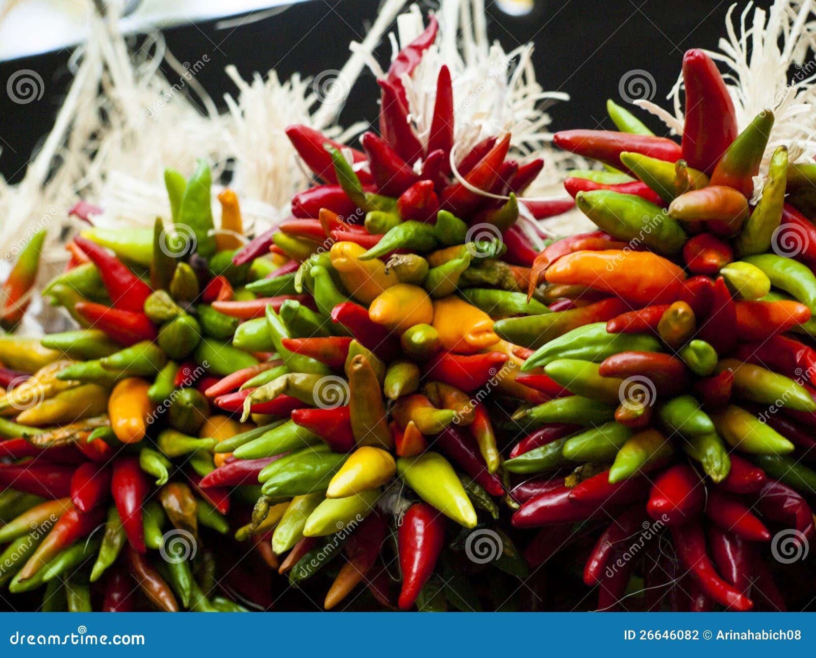 Ristra foto de archivo. Imagen de fresco, secado, comestible - 26646082