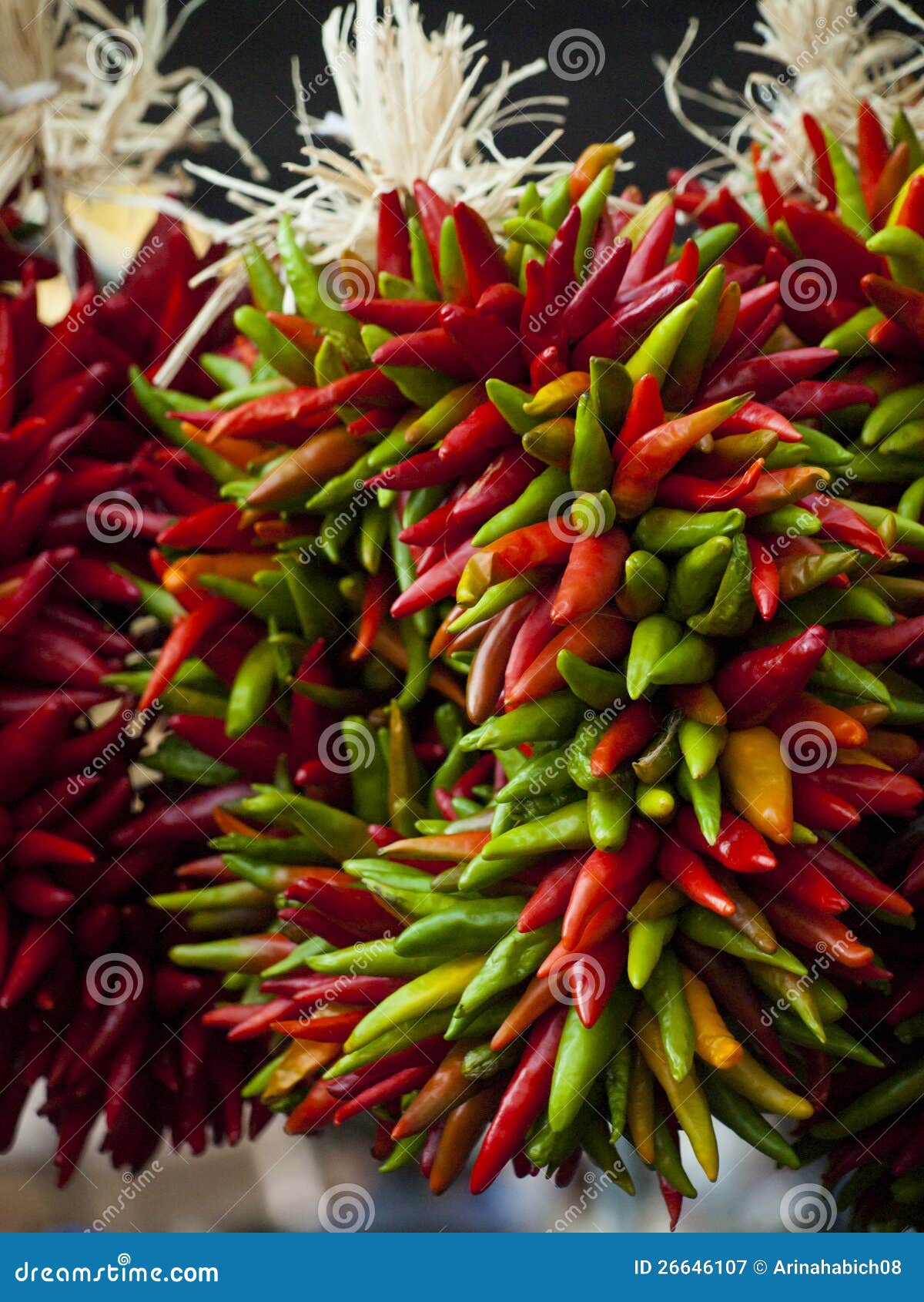 Ristra stock image. Image of chili, culture, southwest - 26646107
