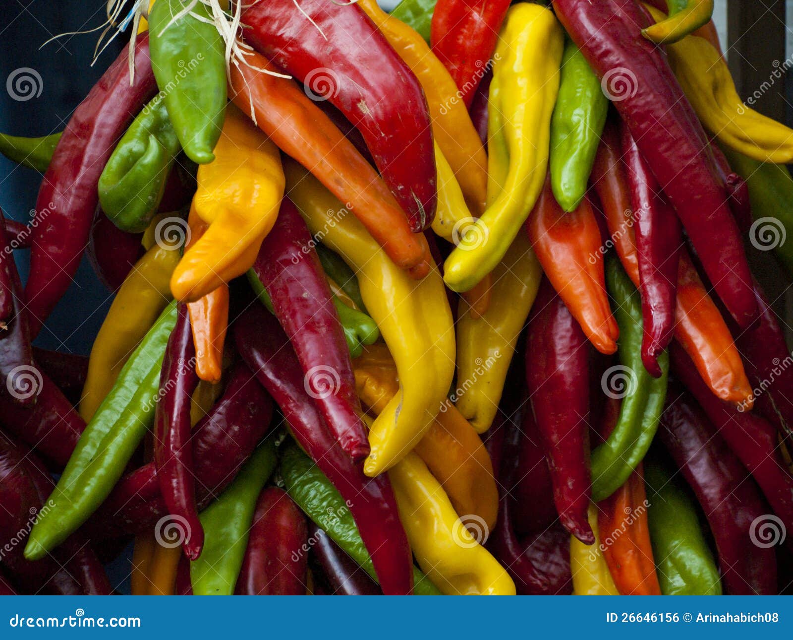 Ristra stock photo. Image of bushel, southwest, hanging - 26646156