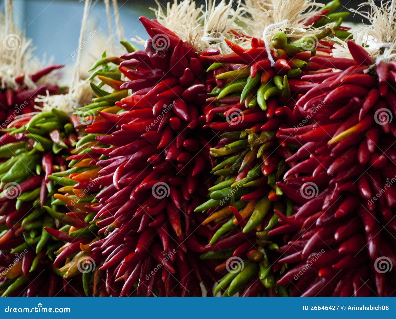 Ristra imagen de archivo. Imagen de verduras, comestible - 26646427
