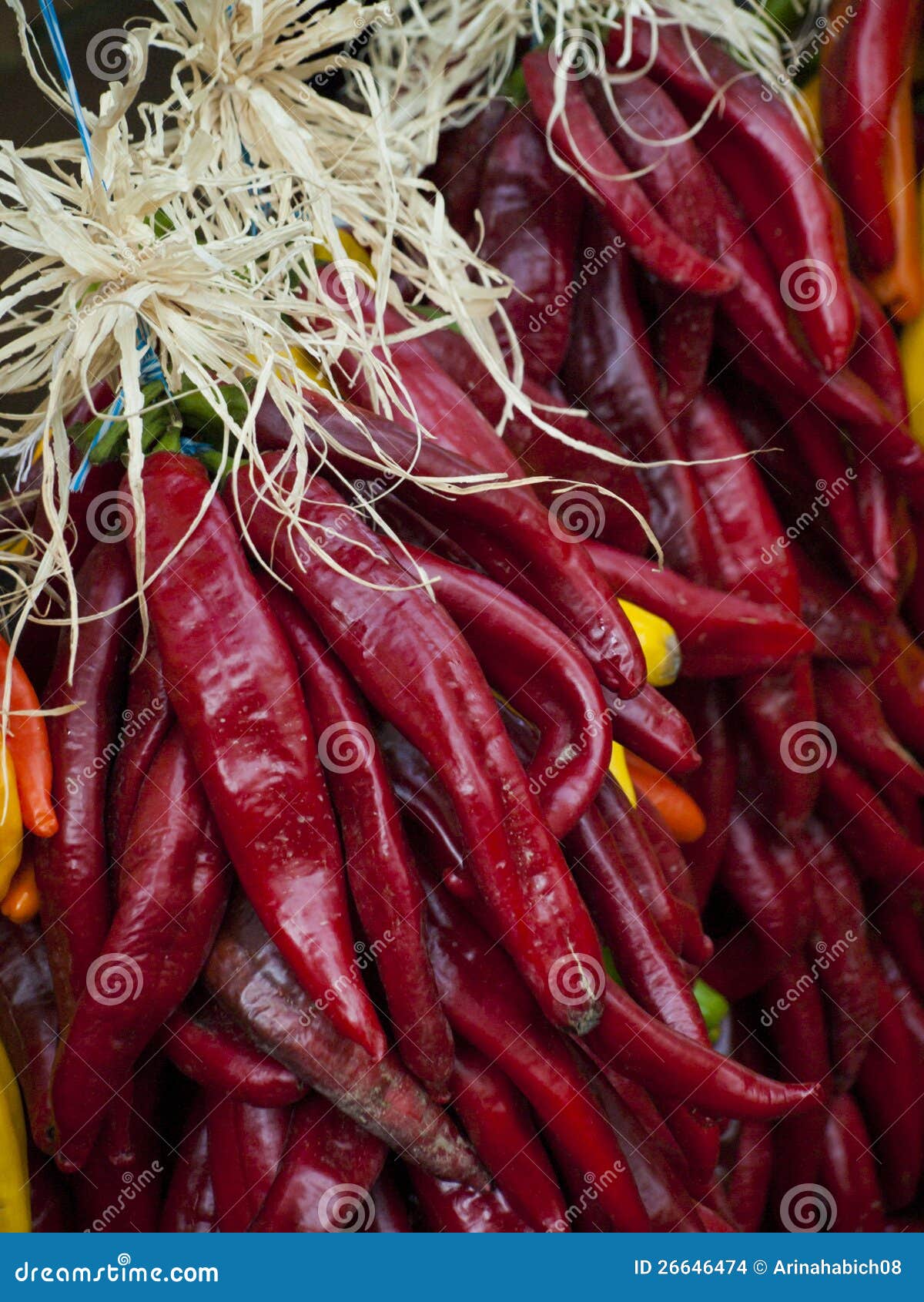 Ristra stock photo. Image of ranch, farmers, food, dried - 26646474