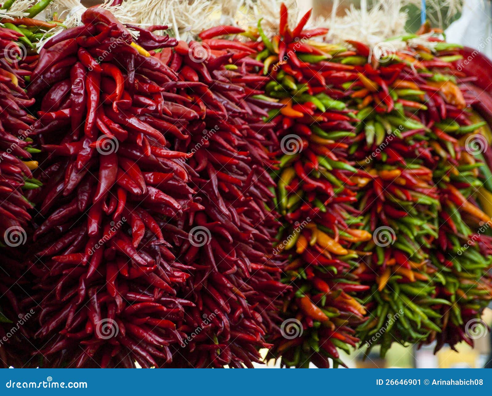 Ristra imagen de archivo. Imagen de agricultura, verduras - 26646901