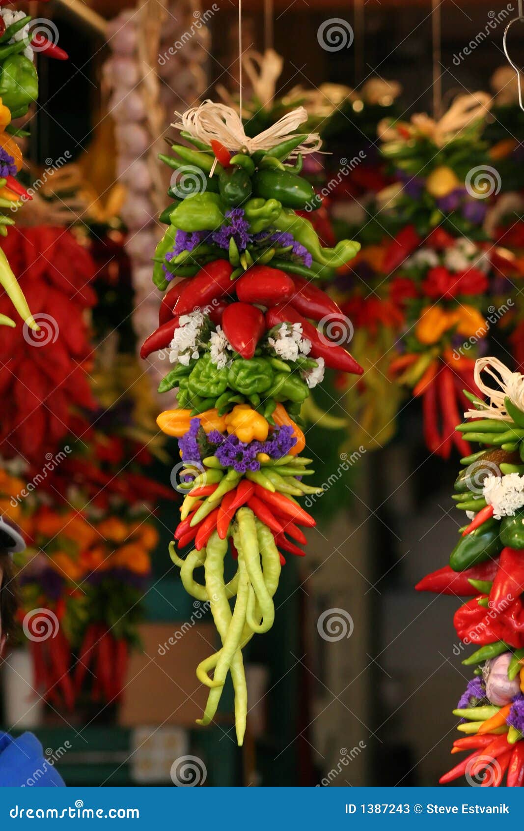 Ristra - mixed peppers stock image. Image of mexican, sphere - 1387243