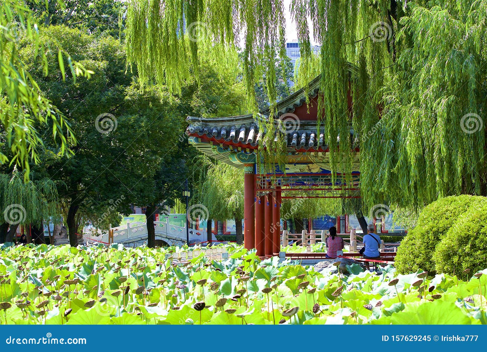 Ritan park, Beijing editorial image. Image of beijing - 157629245