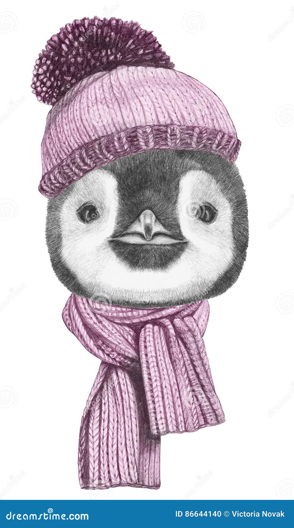 Ritratto Del Pinguino Con La Sciarpa Ed Il Cappello Illustrazione di ...