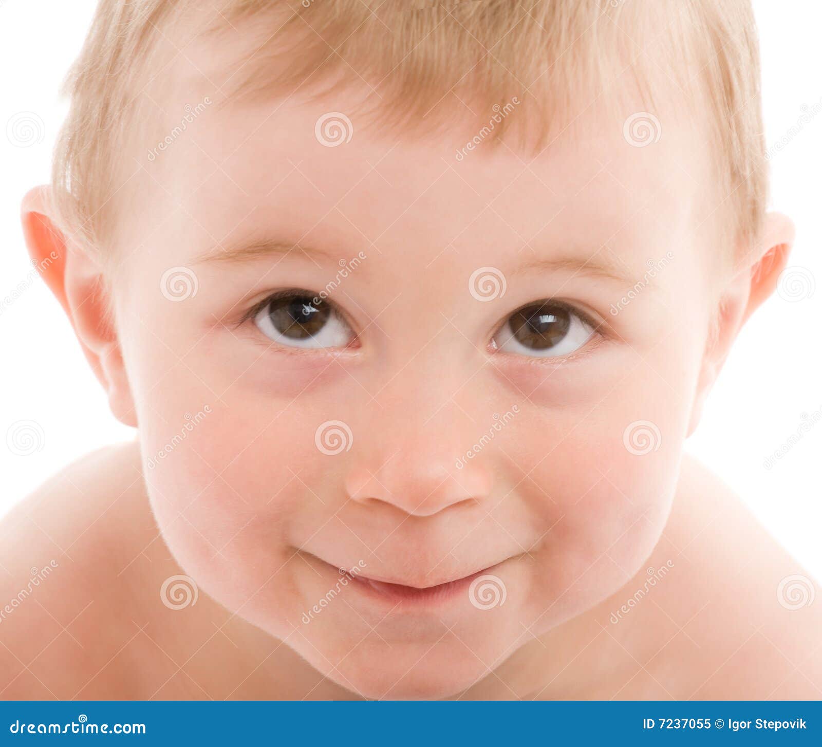 Ritratto Del Ragazzino Isolato Su Bianco Immagine Stock - Immagine di ...