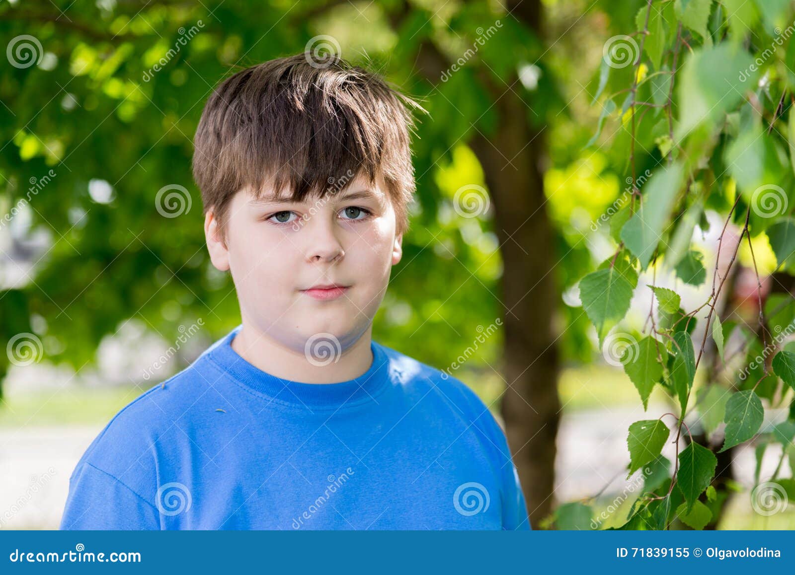 Ritratto Del Ragazzo Di Circa 12 Anni in Parco Immagine Stock ...