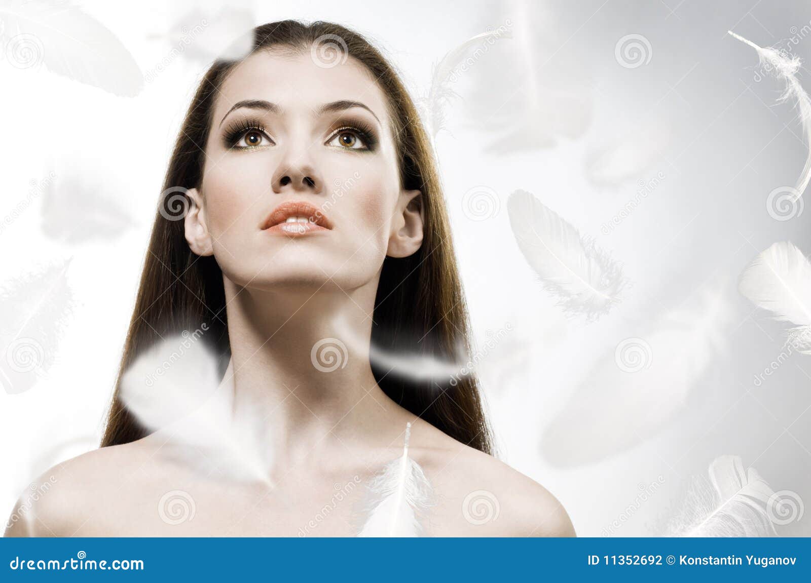 Ritratto di bellezza fotografia stock. Immagine di adulto - 11352692