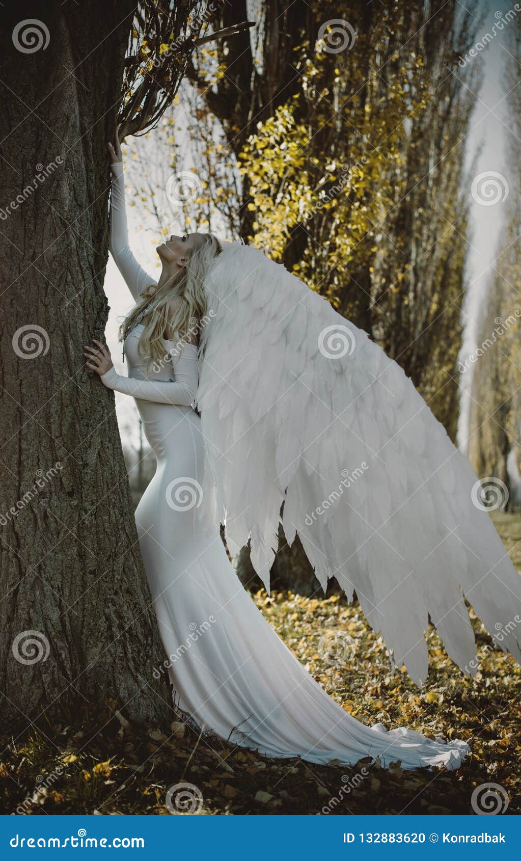 Ritratto Di Un Angelo Elegante E Biondo Fotografia Stock - Immagine di ...