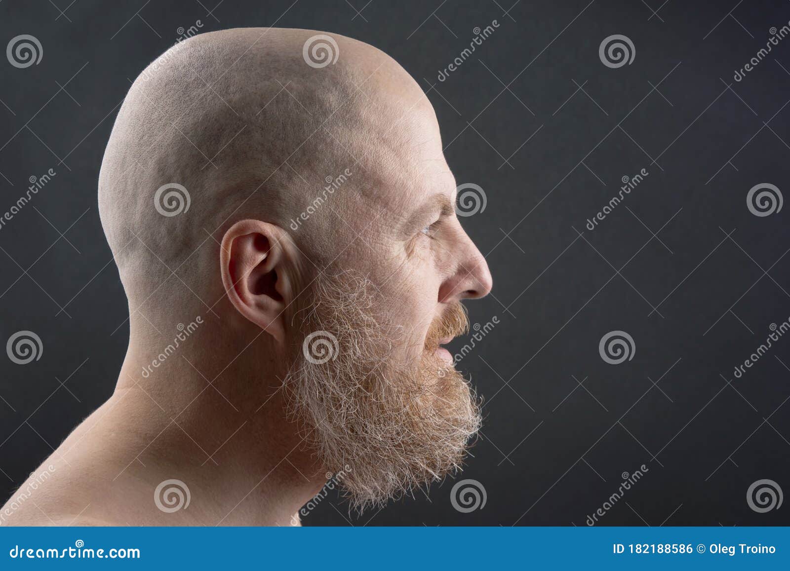 Ritratto Di Un Uomo Barbuto E Calvo in Profilo Fotografia Stock ...