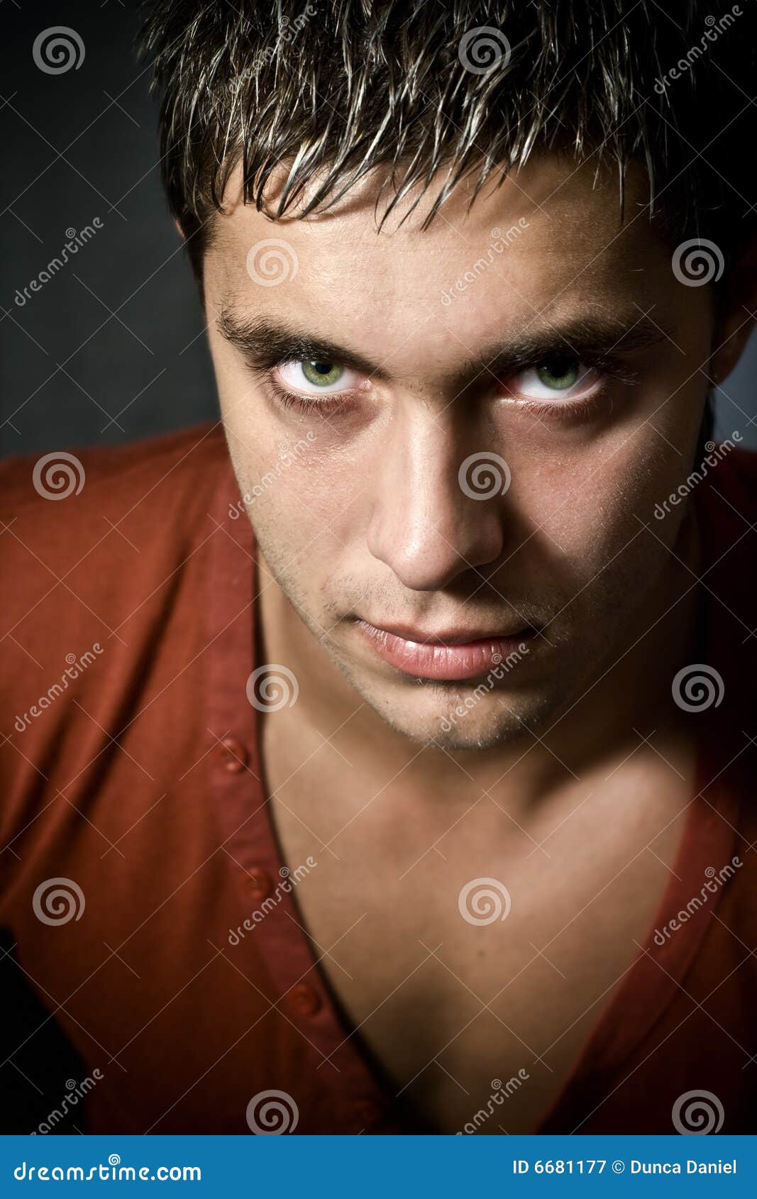 Ritratto Scuro Del Tirante Di Sguardo Intenso Immagine Stock Immagine