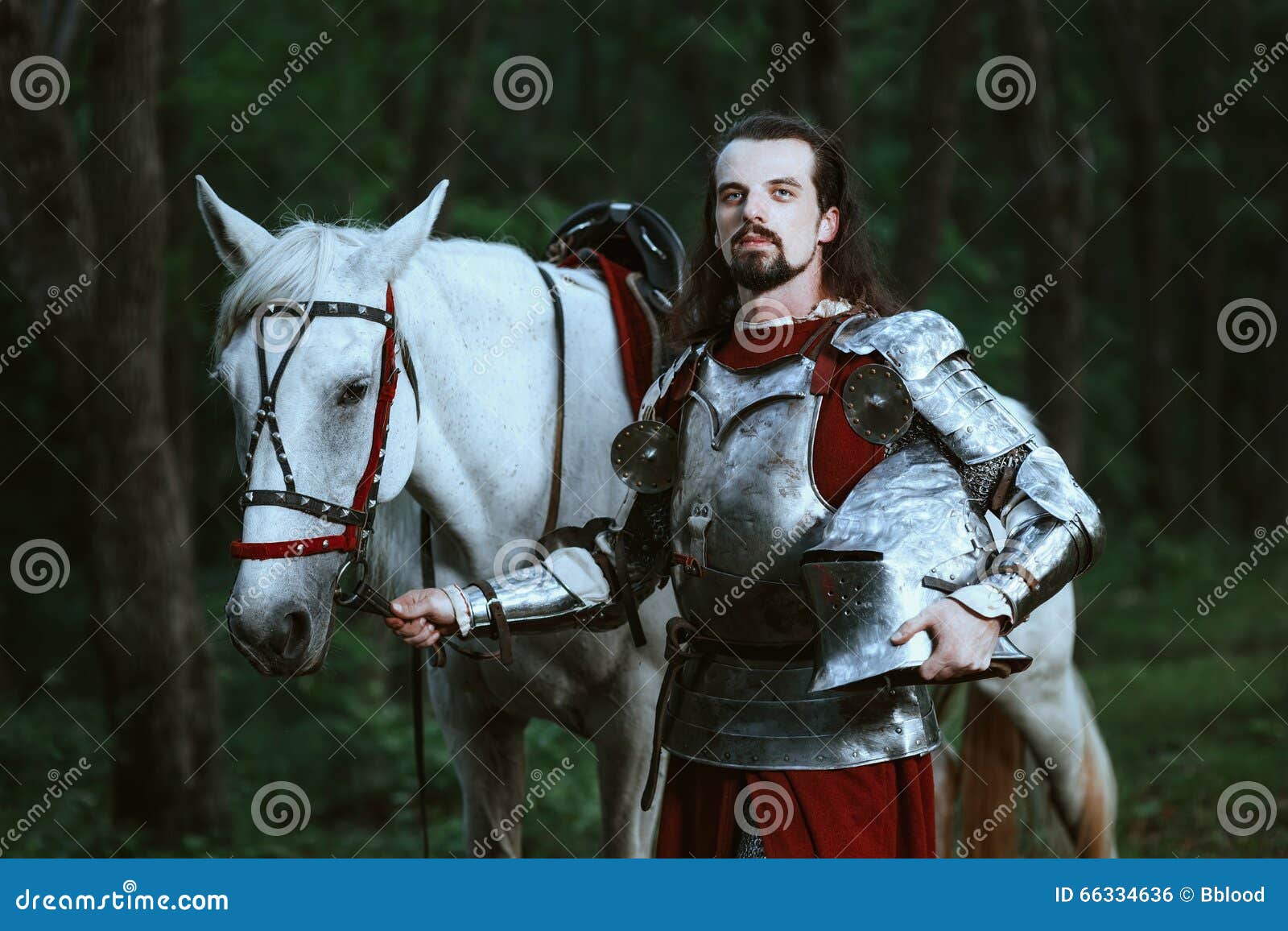 Ritter im Wald stockfoto. Bild von ritter, periode, grün - 66334636