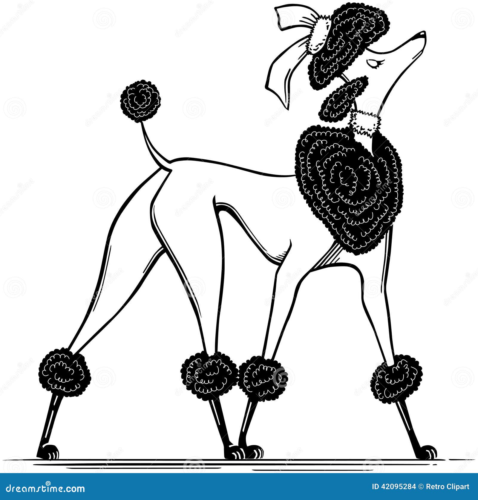 Ritzy Poodle stock vector. Illustration of pets, fashions - 42095284