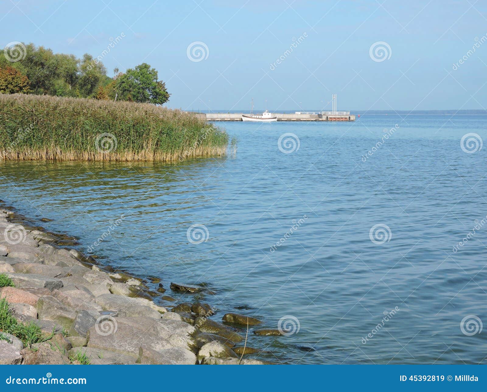 Riva Della Laguna Di Curonian, Lituania Immagine Stock - Immagine di ...