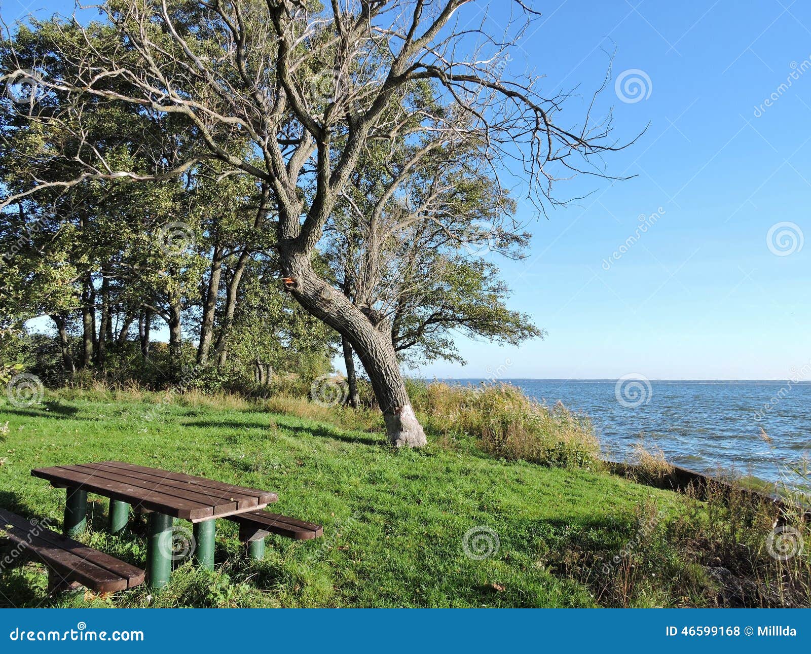 Riva Della Laguna Di Curonian, Lituania Fotografia Stock - Immagine di ...