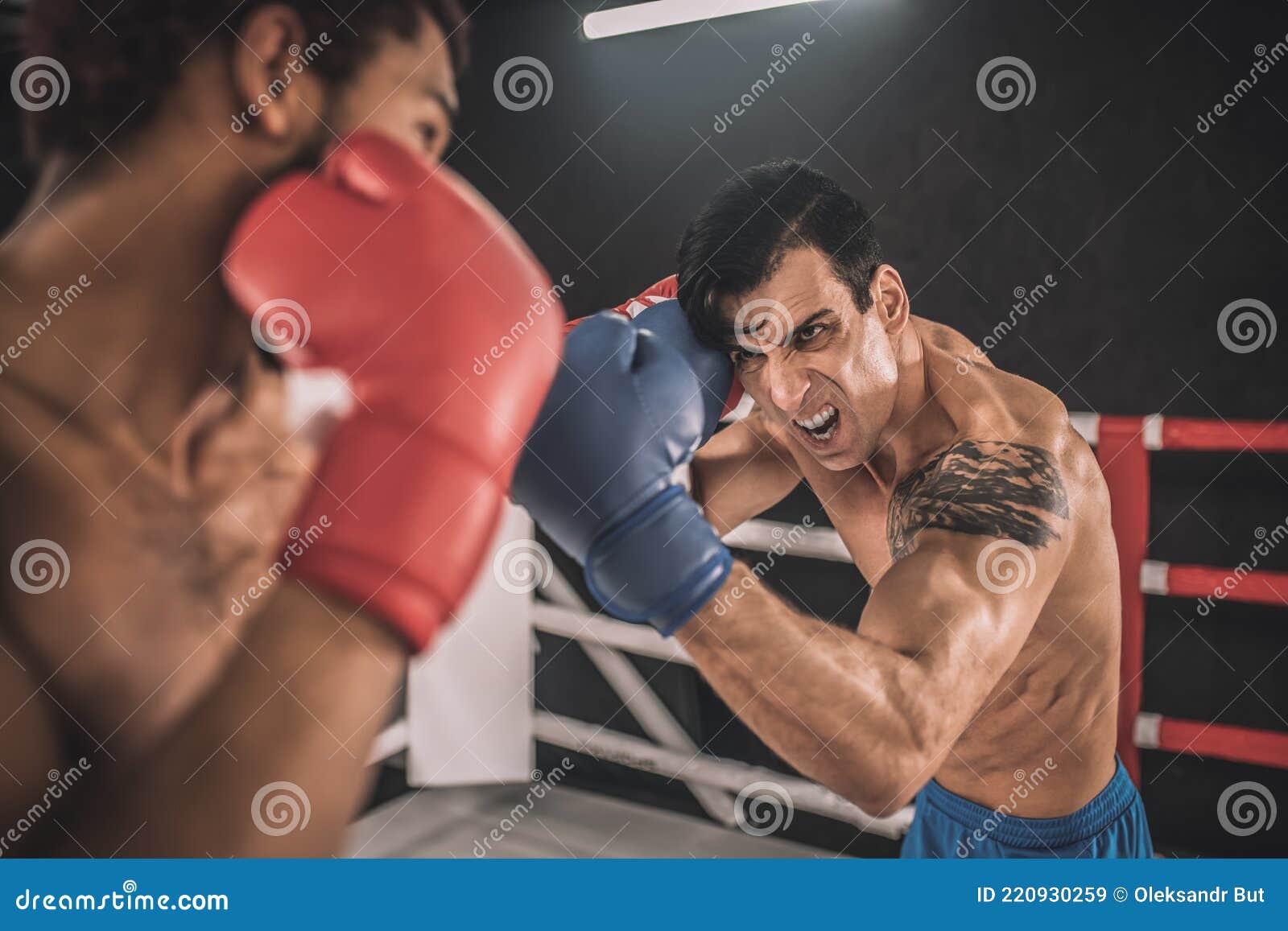 Two Kickboxers Fighting on a Boxing Ring and Looking Aggressive Stock ...