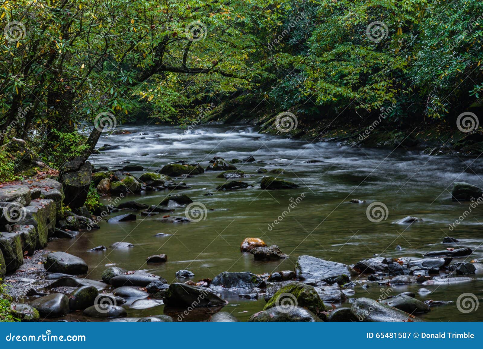 Rive in North Carolina stock image. Image of parkway - 65481507