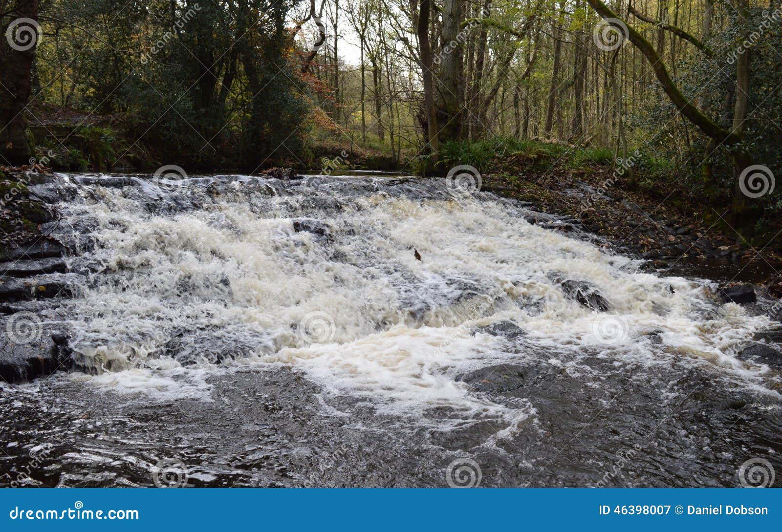 Rivelin valley stock image. Image of stones, rivelin - 46398007