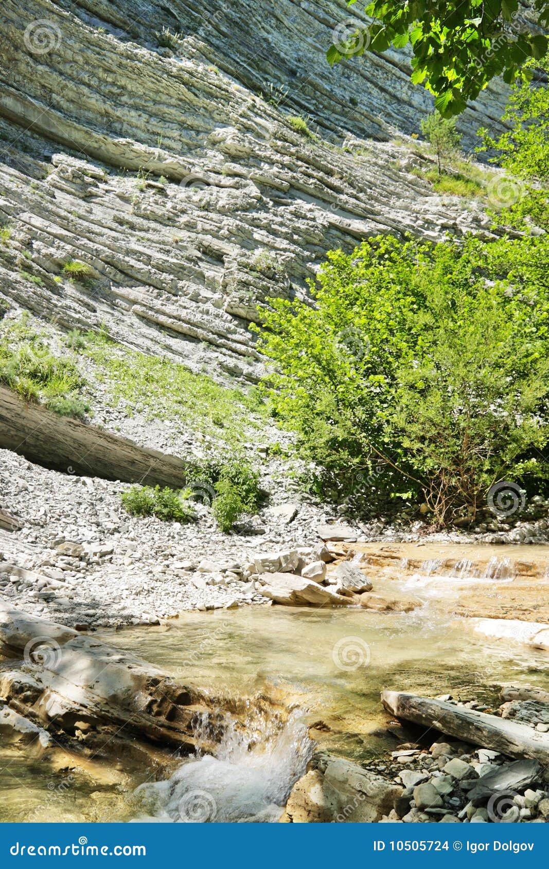 River stock photo. Image of flora, hill, sunny, kuago - 10505724