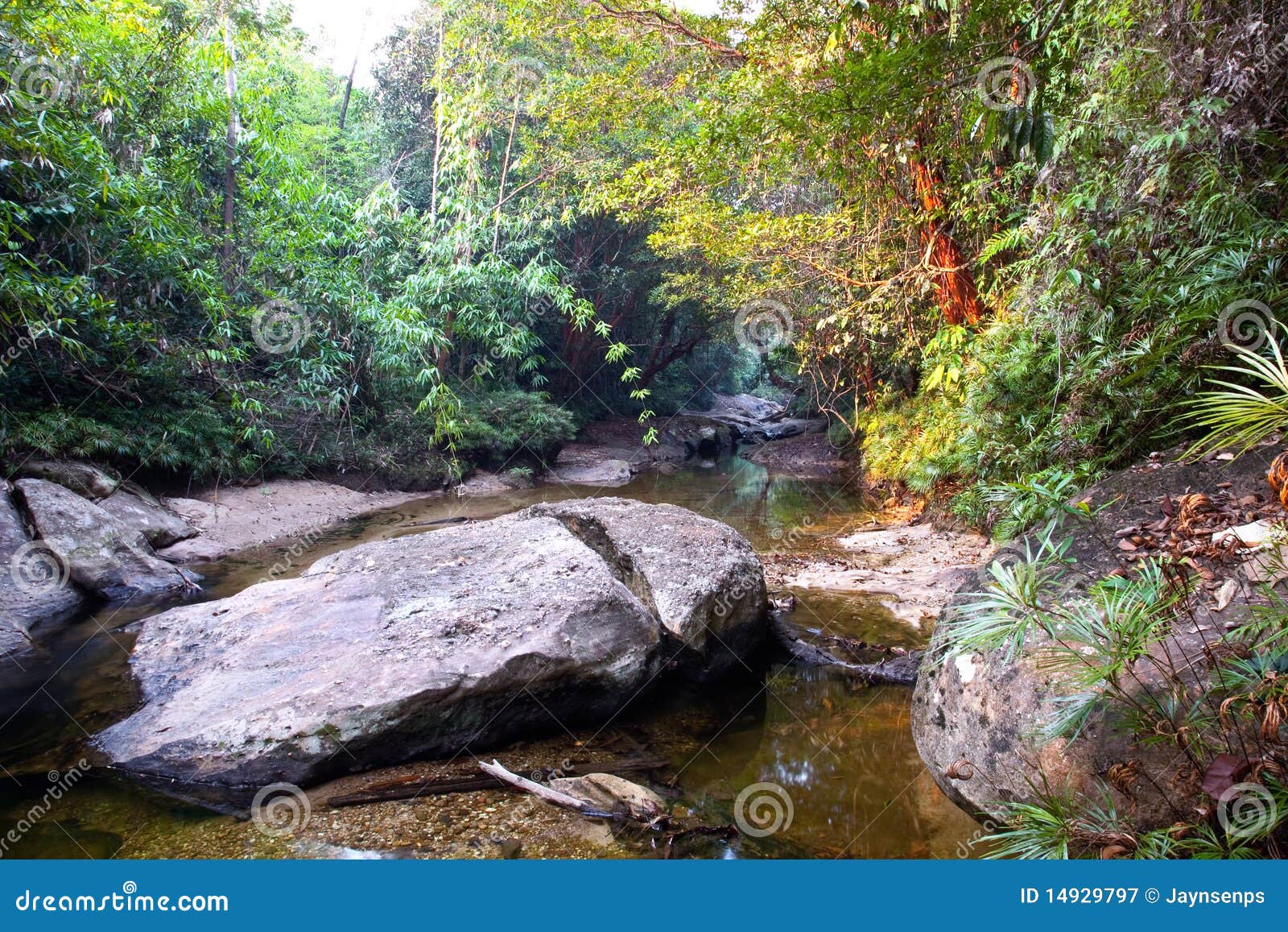 River stock image. Image of forest, malaysia, plants - 14929797