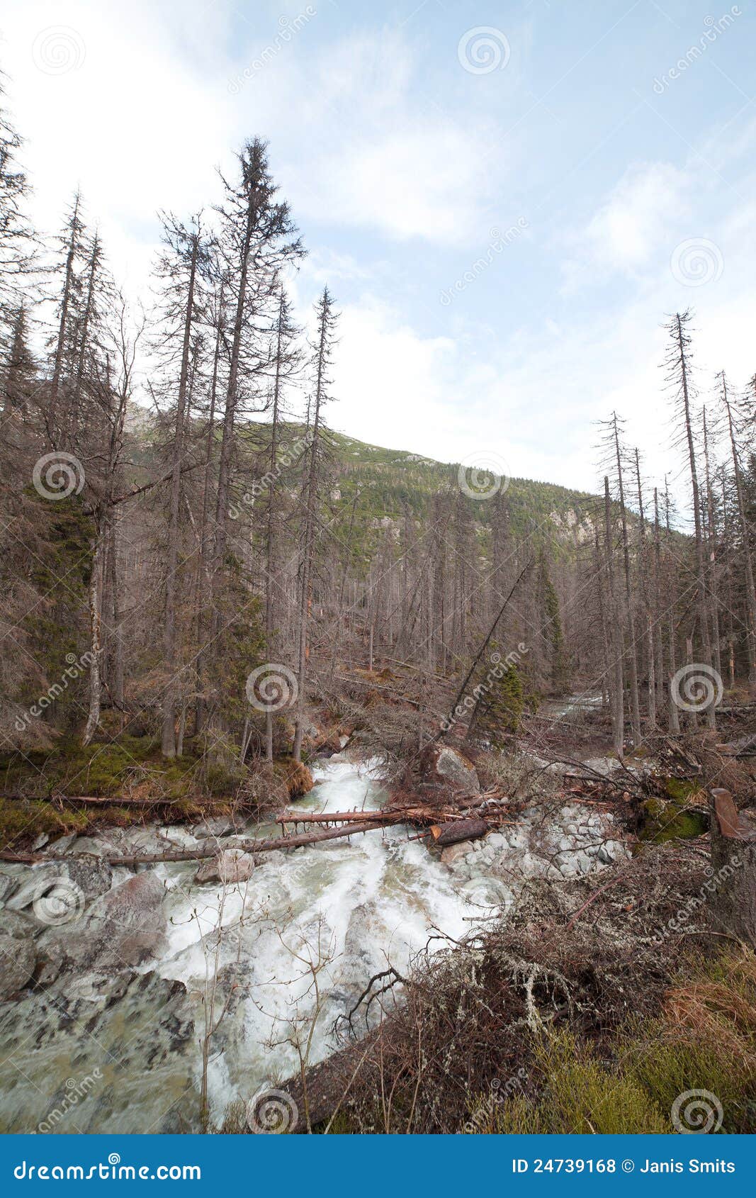 River. stock photo. Image of stone, mountain, slovakia - 24739168