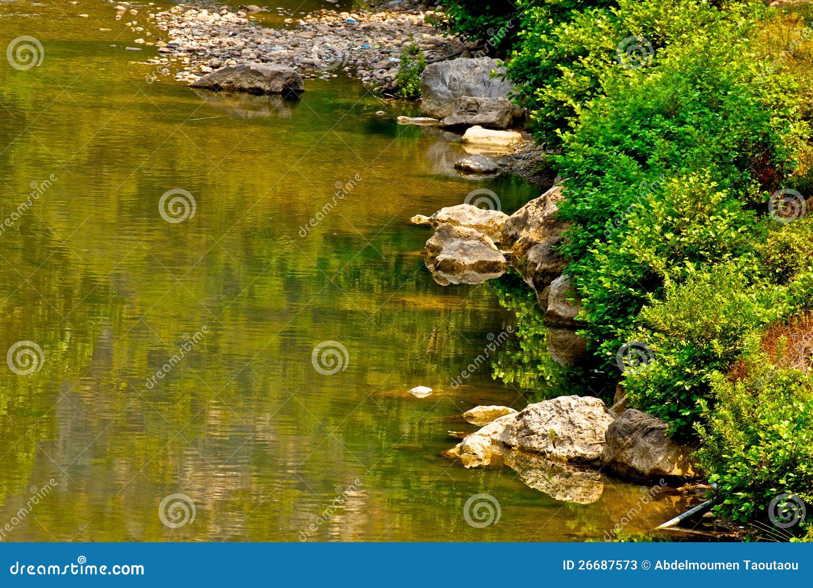 River stock image. Image of green, plant, environment - 26687573