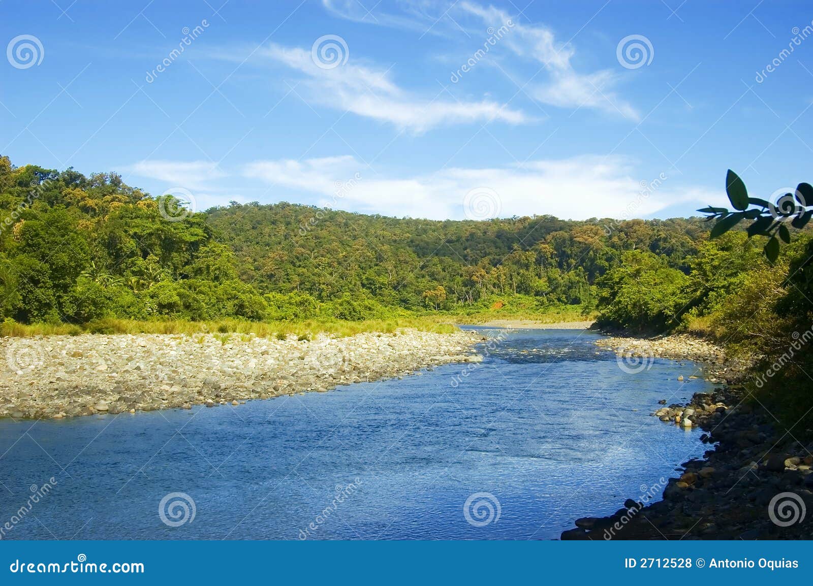 River stock photo. Image of urban, stream, nature, leaf - 2712528