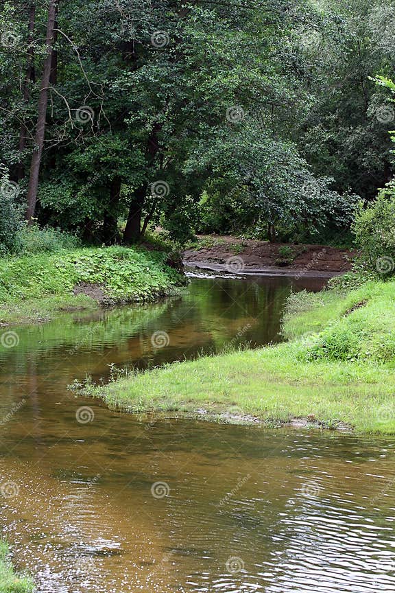 The river stock image. Image of river, coastal, tree, conservation ...