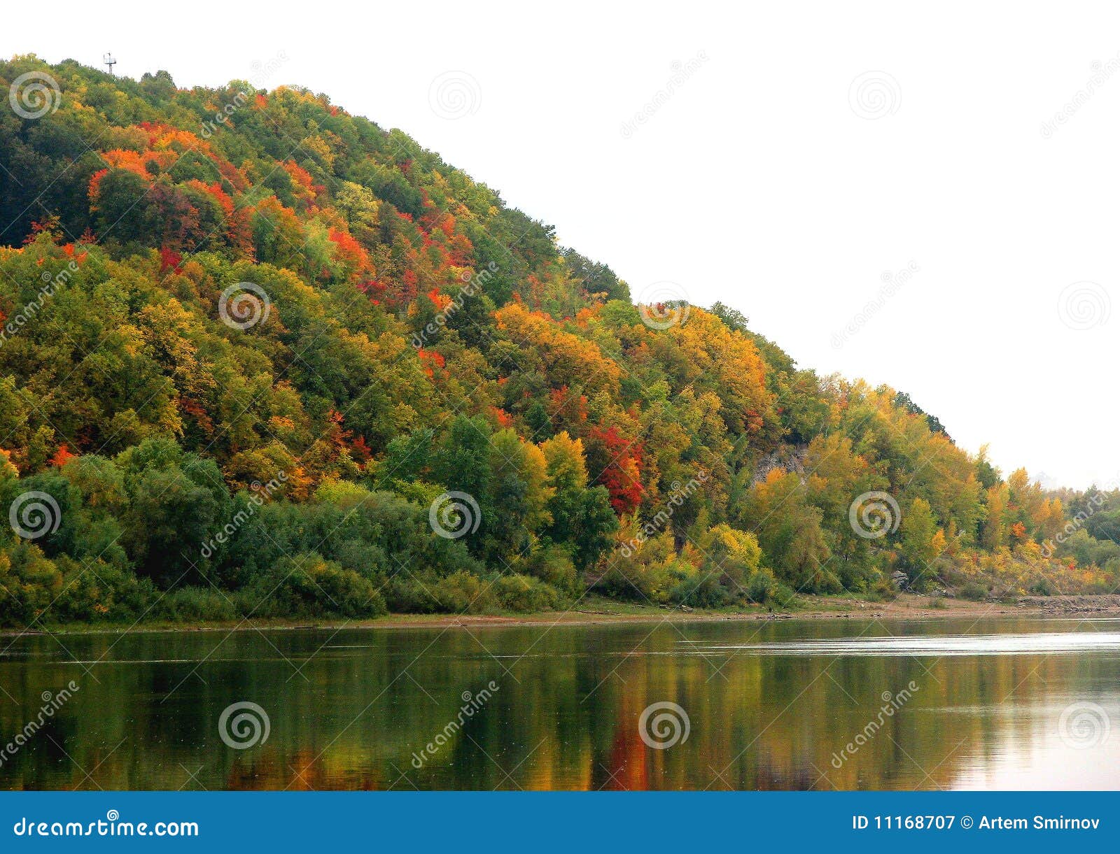 Daily river 3 stock image. Image of nature, river, tree - 11168707