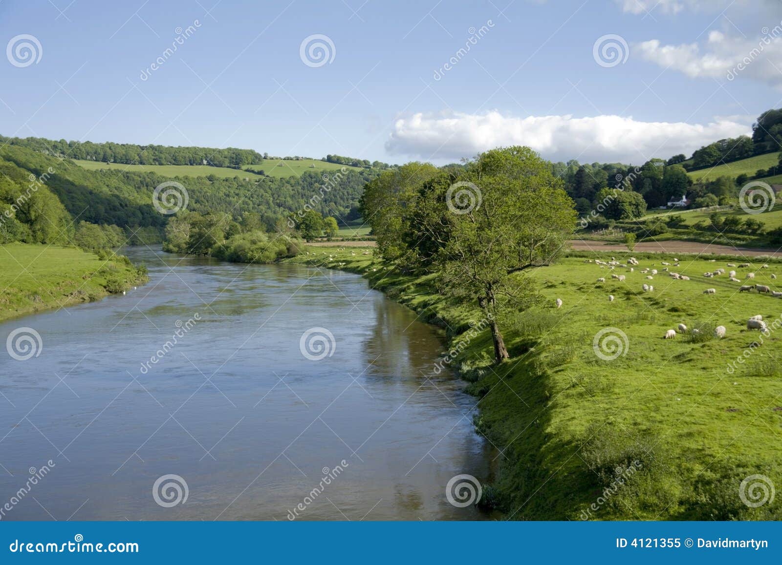 River stock image. Image of britain, green, border, english - 4121355