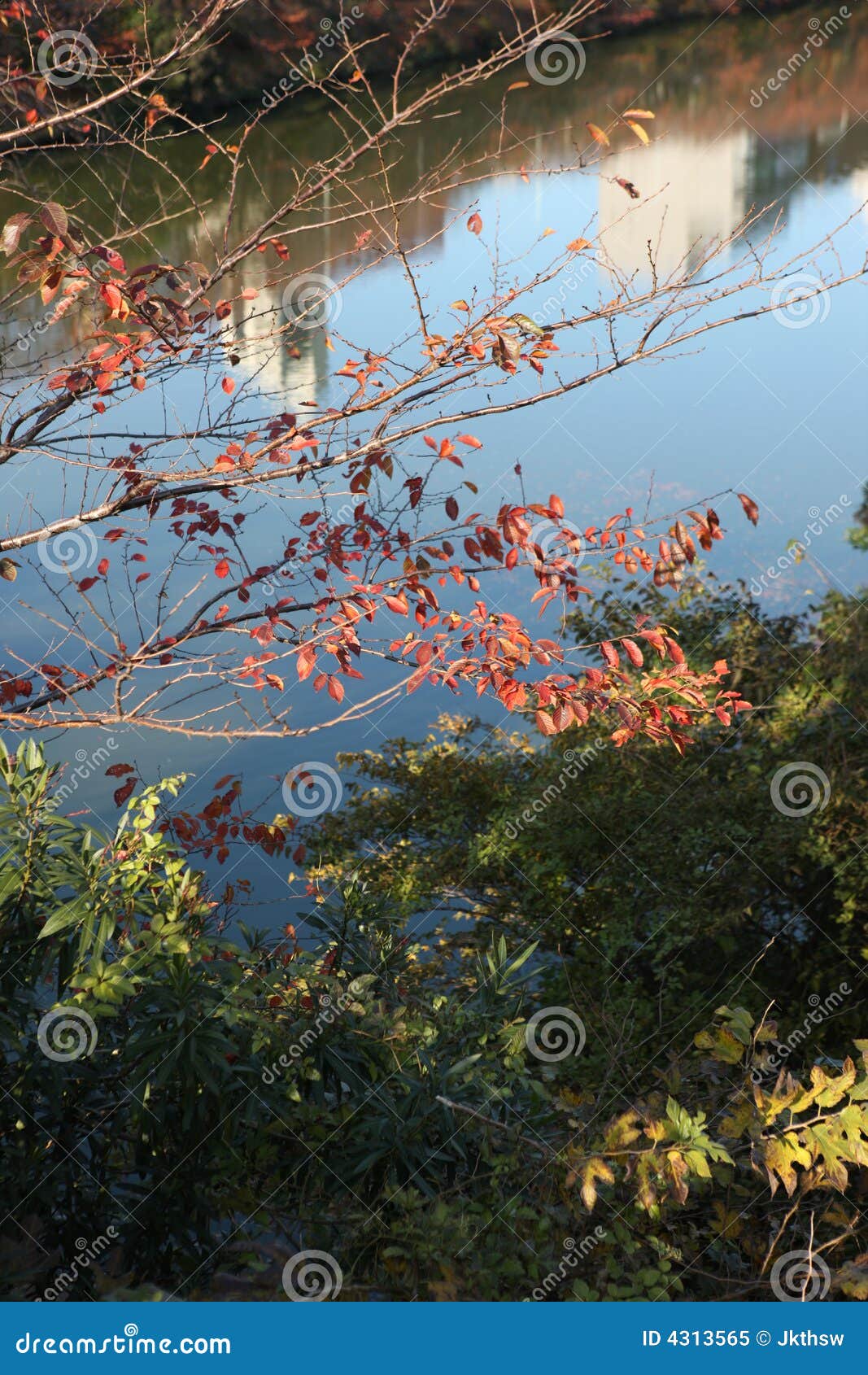 River stock image. Image of leafage, foliage, leaf, strand - 4313565