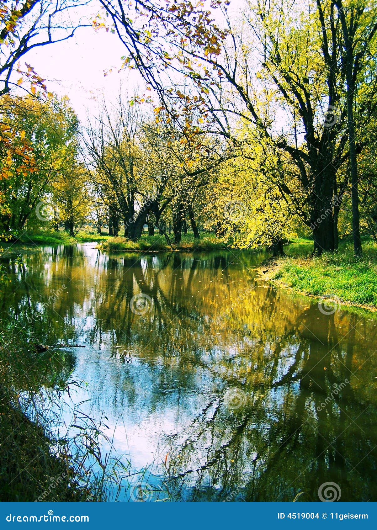 River stock photo. Image of rivers, brook, stream, trees - 4519004