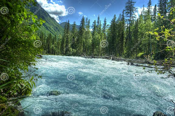 River stock photo. Image of fluid, high, rock, outdoor - 6310272