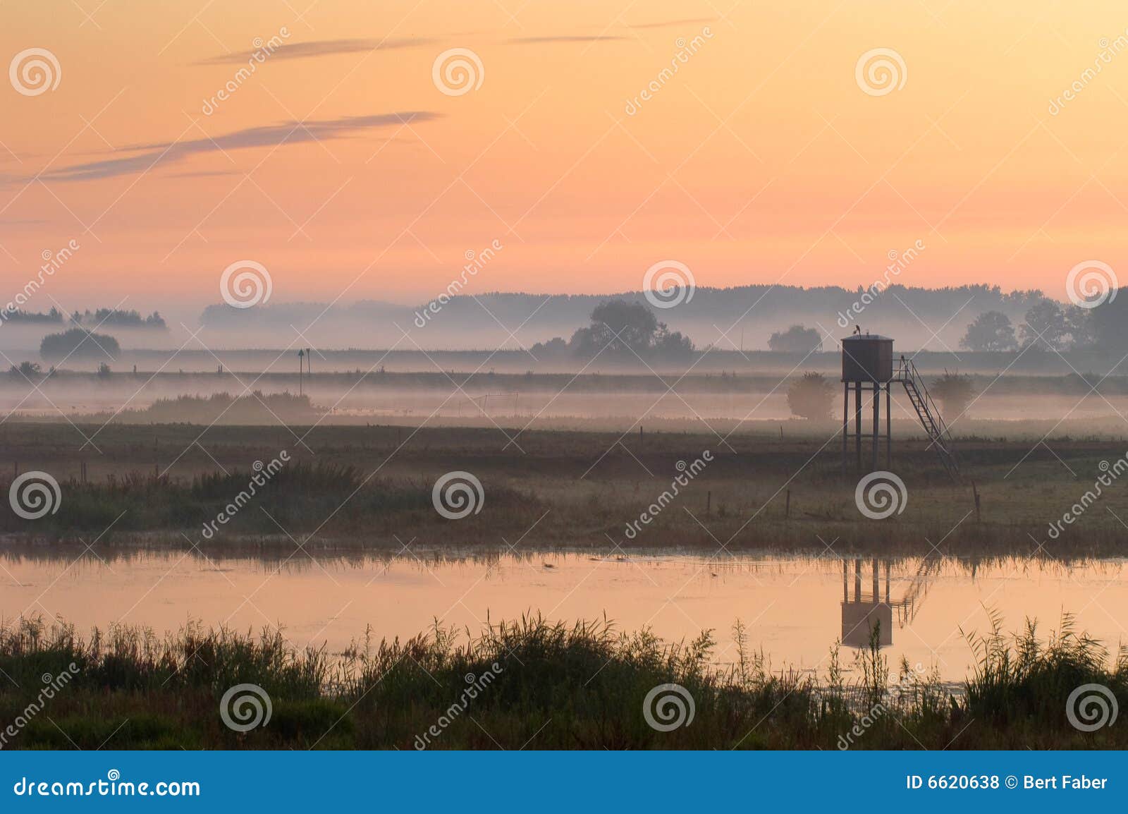 River stock photo. Image of betuwe, landscape, netherlands - 6620638