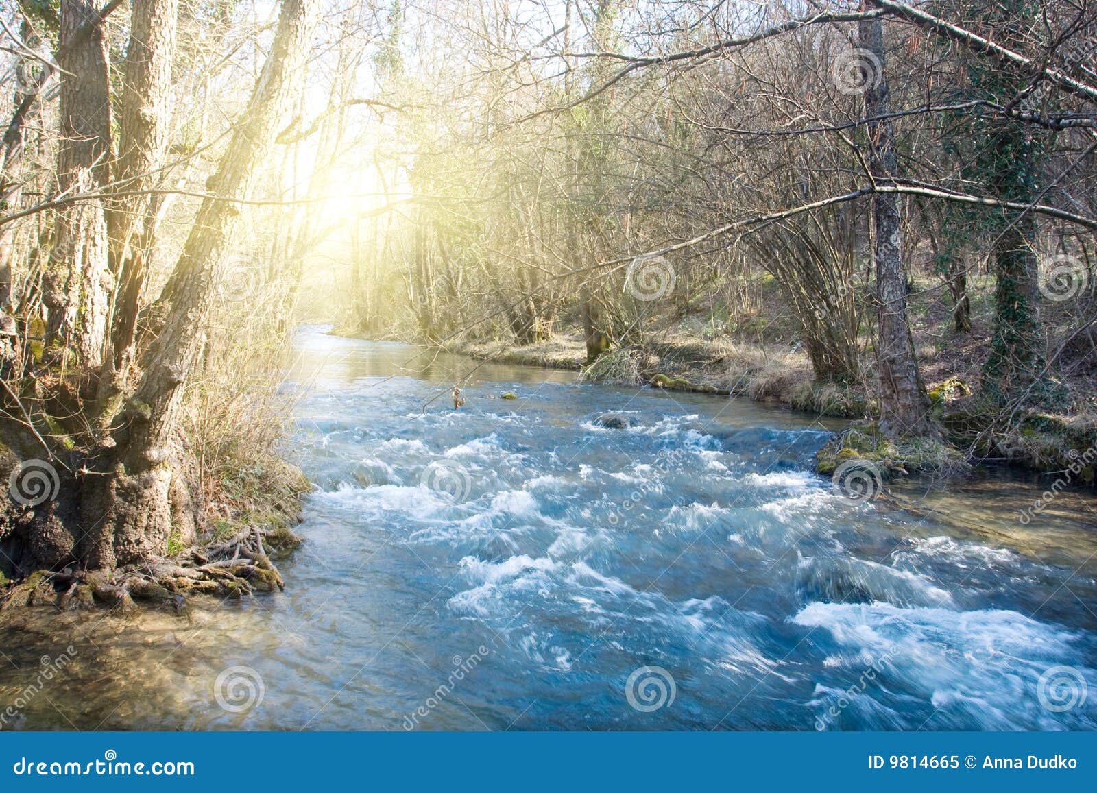 River stock image. Image of garden, rock, natural, fresh - 9814665