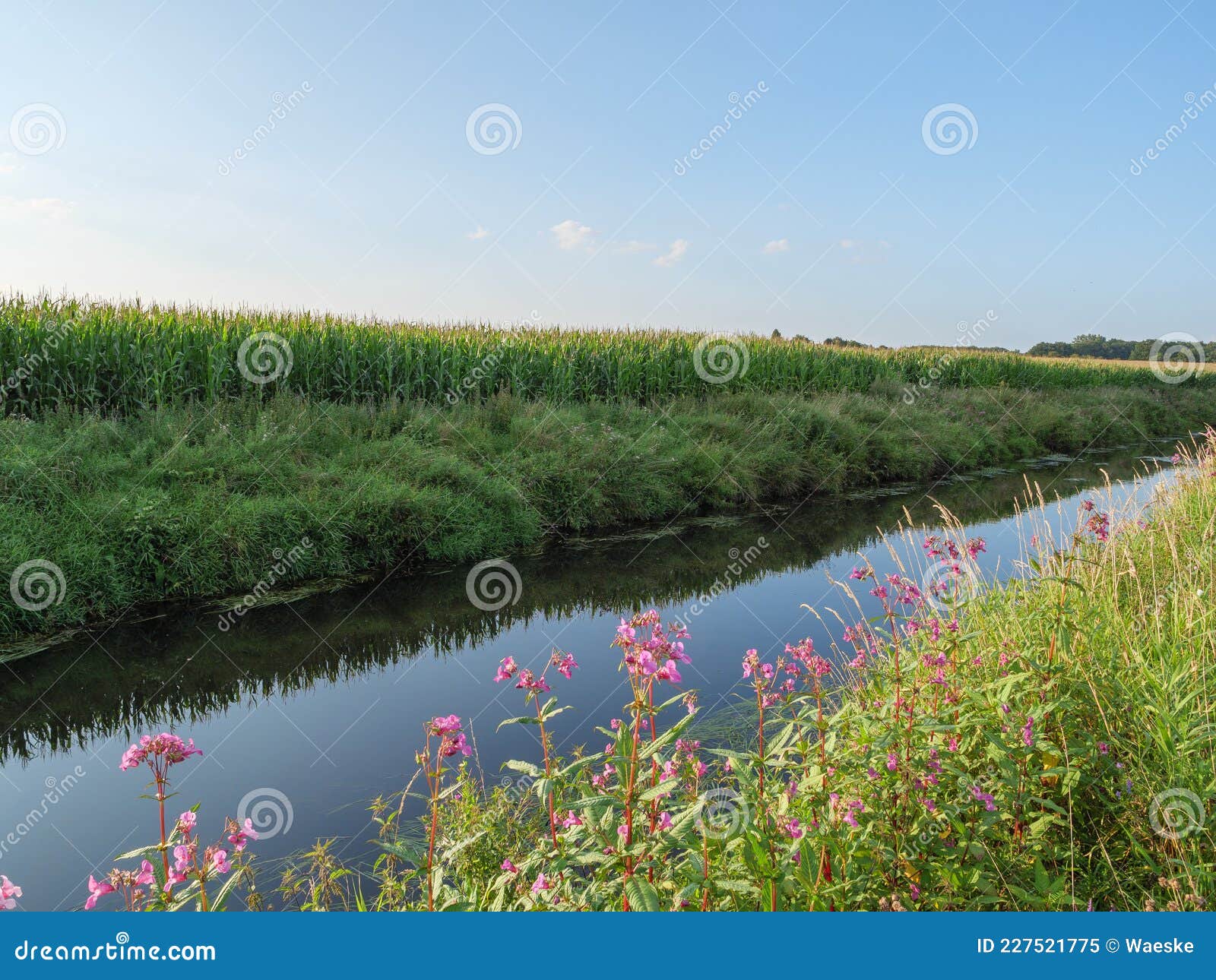 At the River Aa in Westphalia Stock Image - Image of borken, river ...