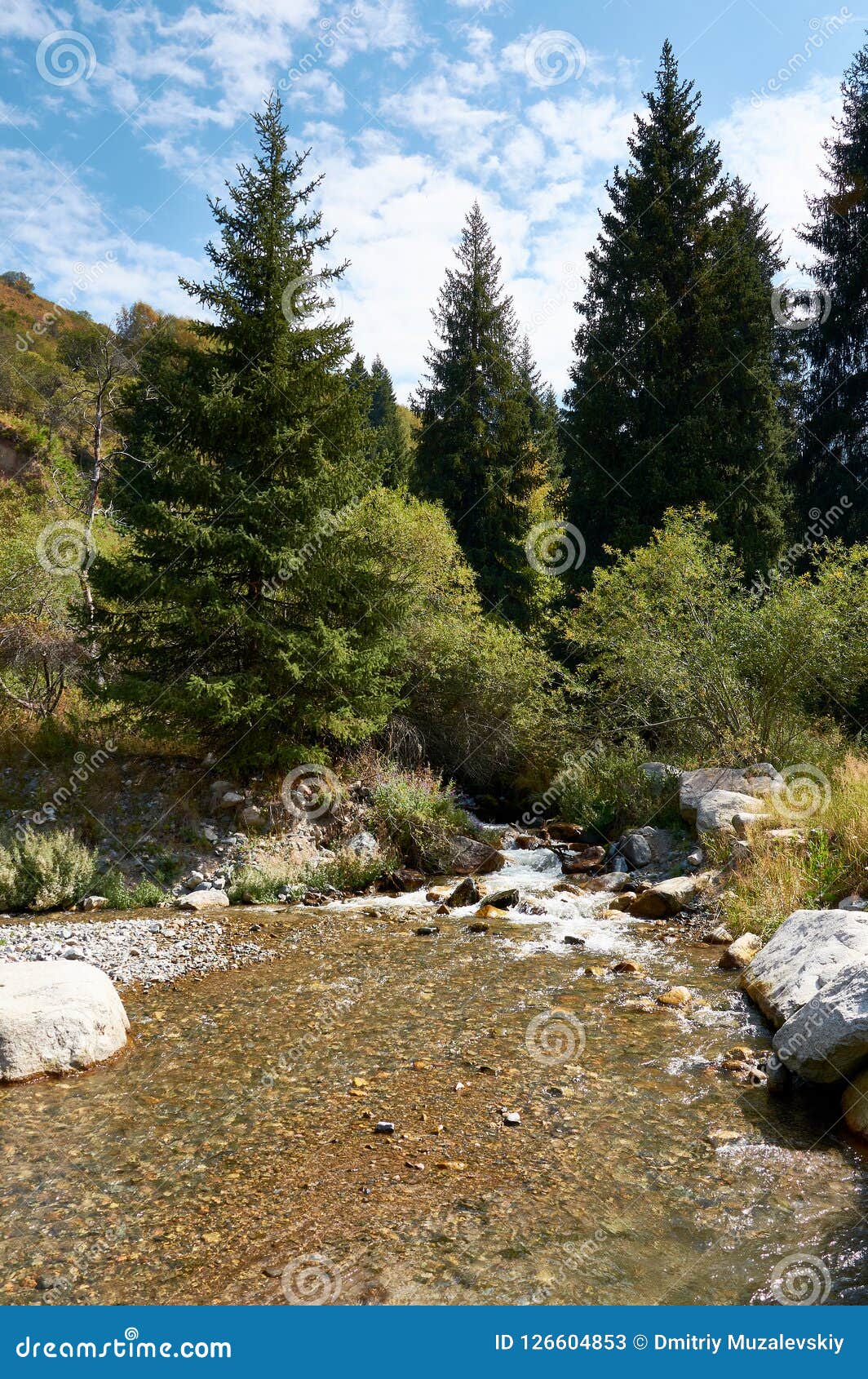 River Akbulak, Kazakhstan stock image. Image of natural - 126604853